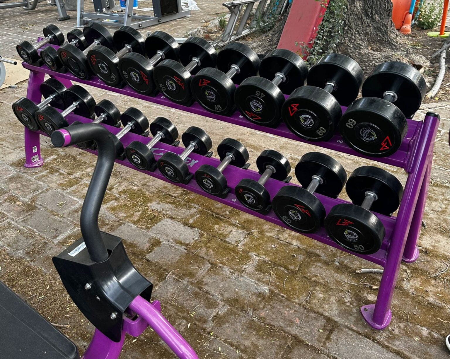 Escalera sin fin marca Stair Máster - Todo Para Tu GYM